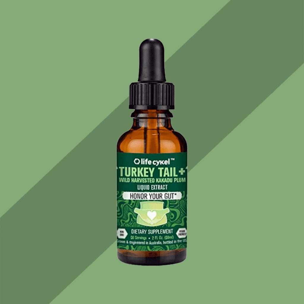 Turkey Tail | Mount Herbal Weed Delivery